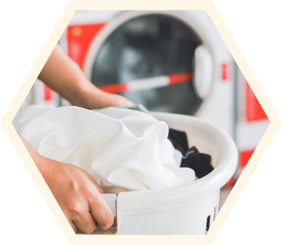 Busy Bee Laundry | Laundry at our bee-utiful facility!